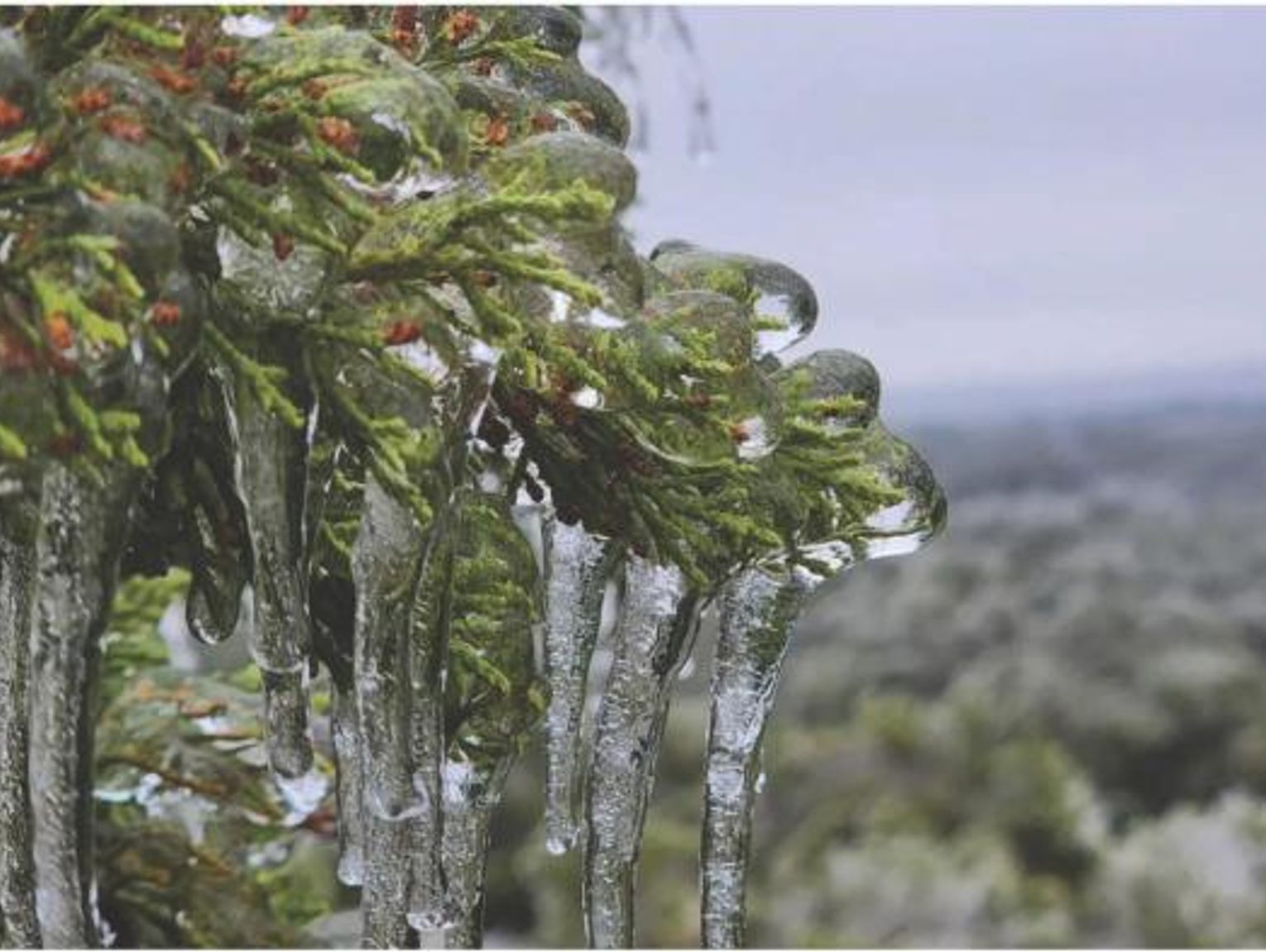 2. Ice storm hits the Hill Country, ends in disaster