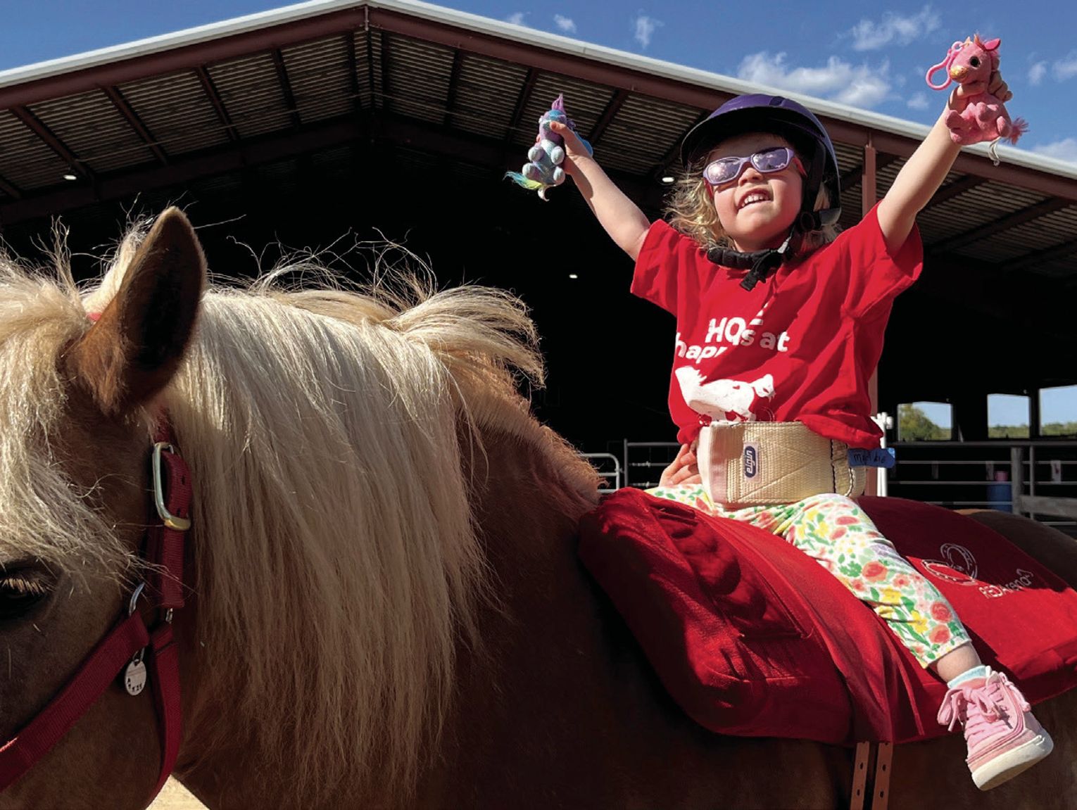 NOT JUST HORSING AROUND